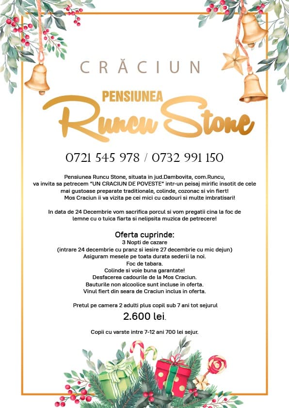 Dâmbovița: Pensiunea Runcu Stone, locul perfect pentru a petrece ...