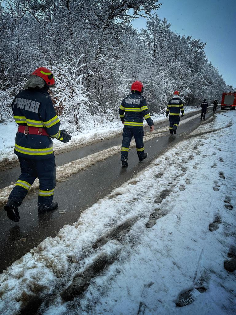 Viscolul și zăpada au făcut ravagii în Dâmbovița! Zeci de arbori și ...