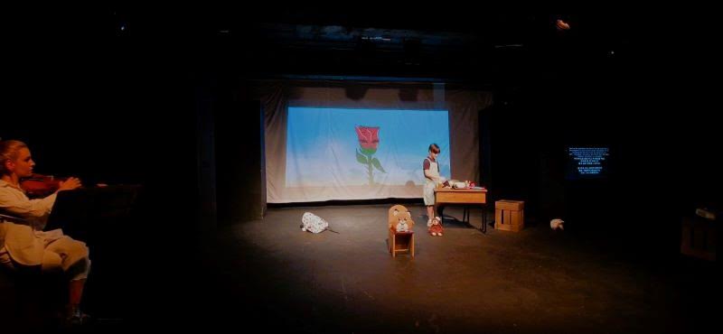 „Micul prinț”, spectacol captivant și emoționant prezentat de Teatrul ...