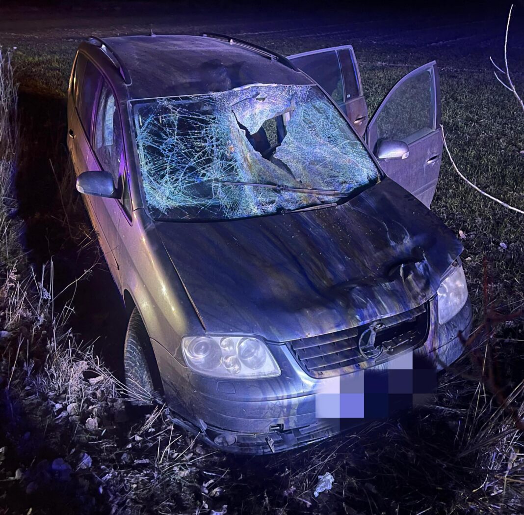Cal spulberat de o mașină în miez de noapte, în Dâmbovița! Cabalina a ...